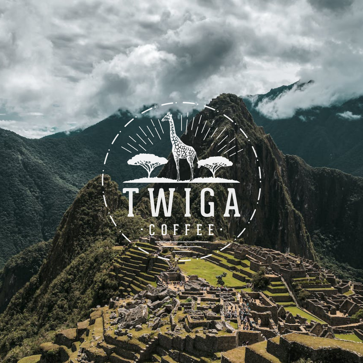 Peruvian Coffee Unveiled: A Journey Through Flavor and Tradition ...